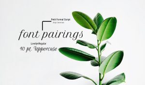 Classic Font Pairings | Corjl